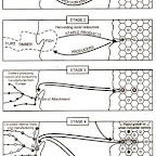 ArcGIS 10.6 Desktop full crack download