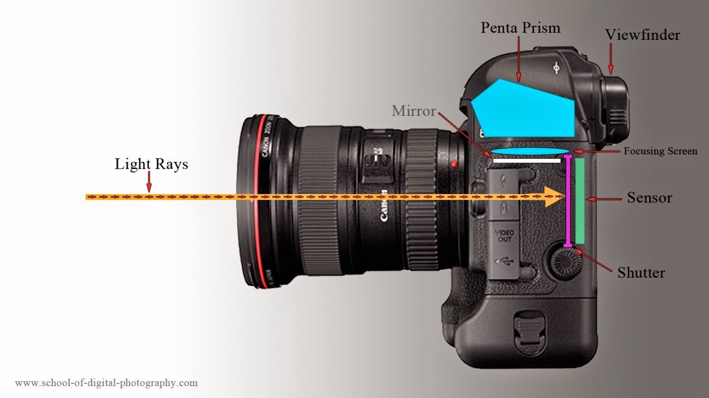 Photography Tips