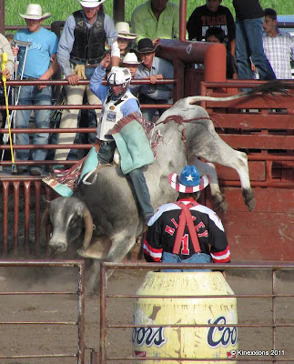 kinexxions: Roe-Dee-Oh :: Bull Riding