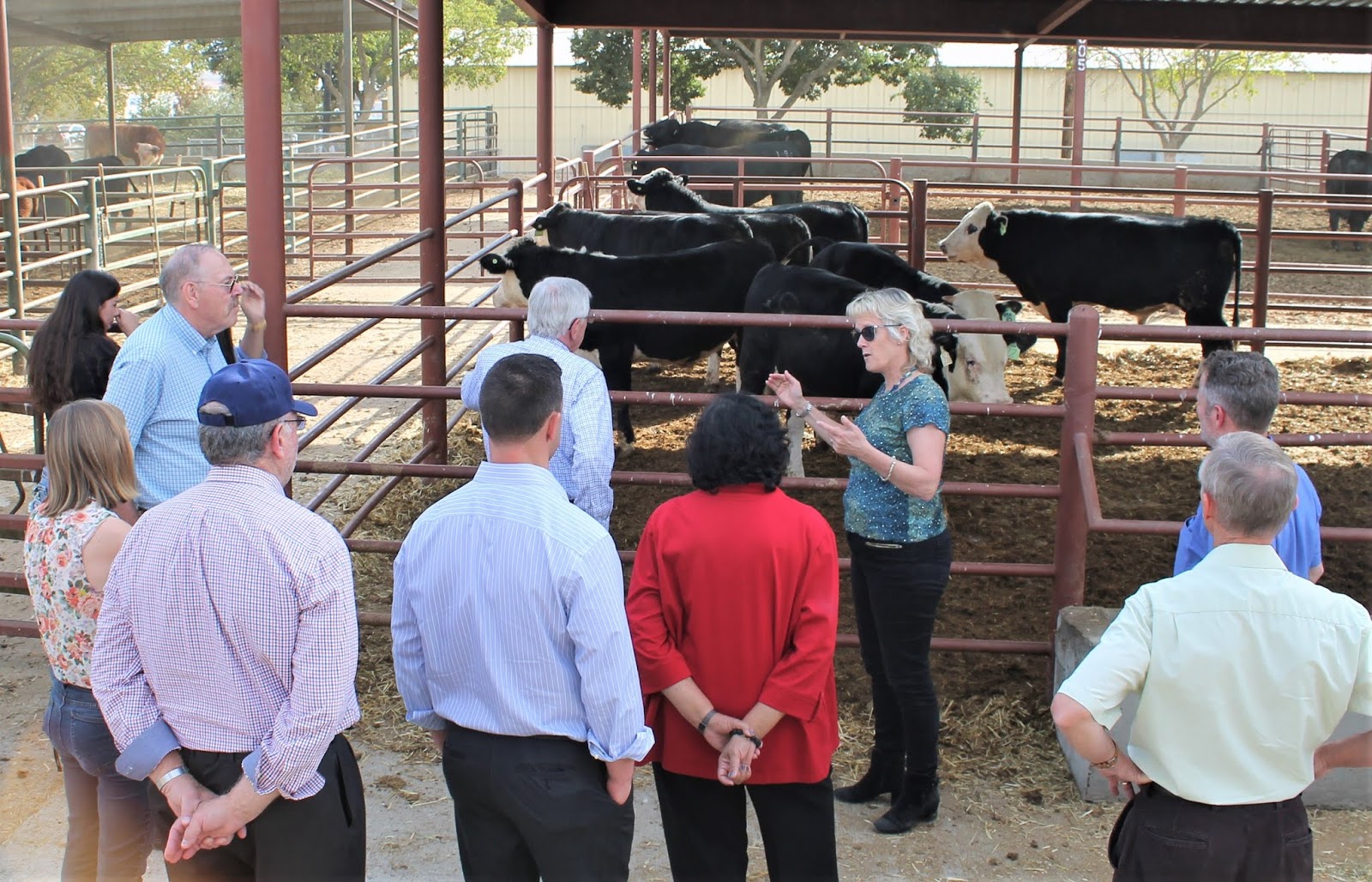 CAST: Genome Editing Cows, Pigs, Salmon--and the Platypus?