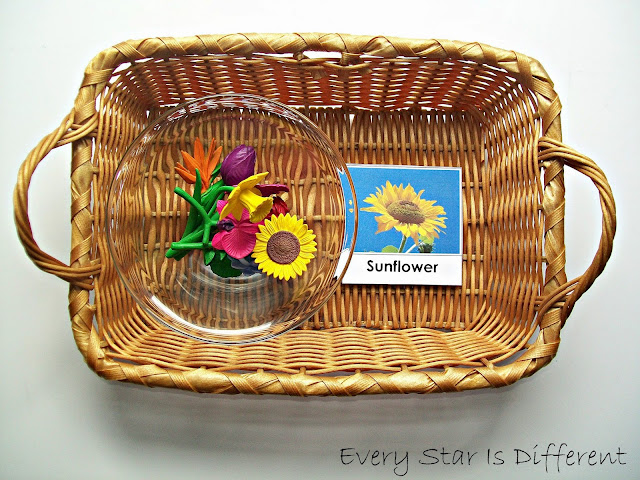 Flower Unit w/ Free Printables - Every Star Is Different