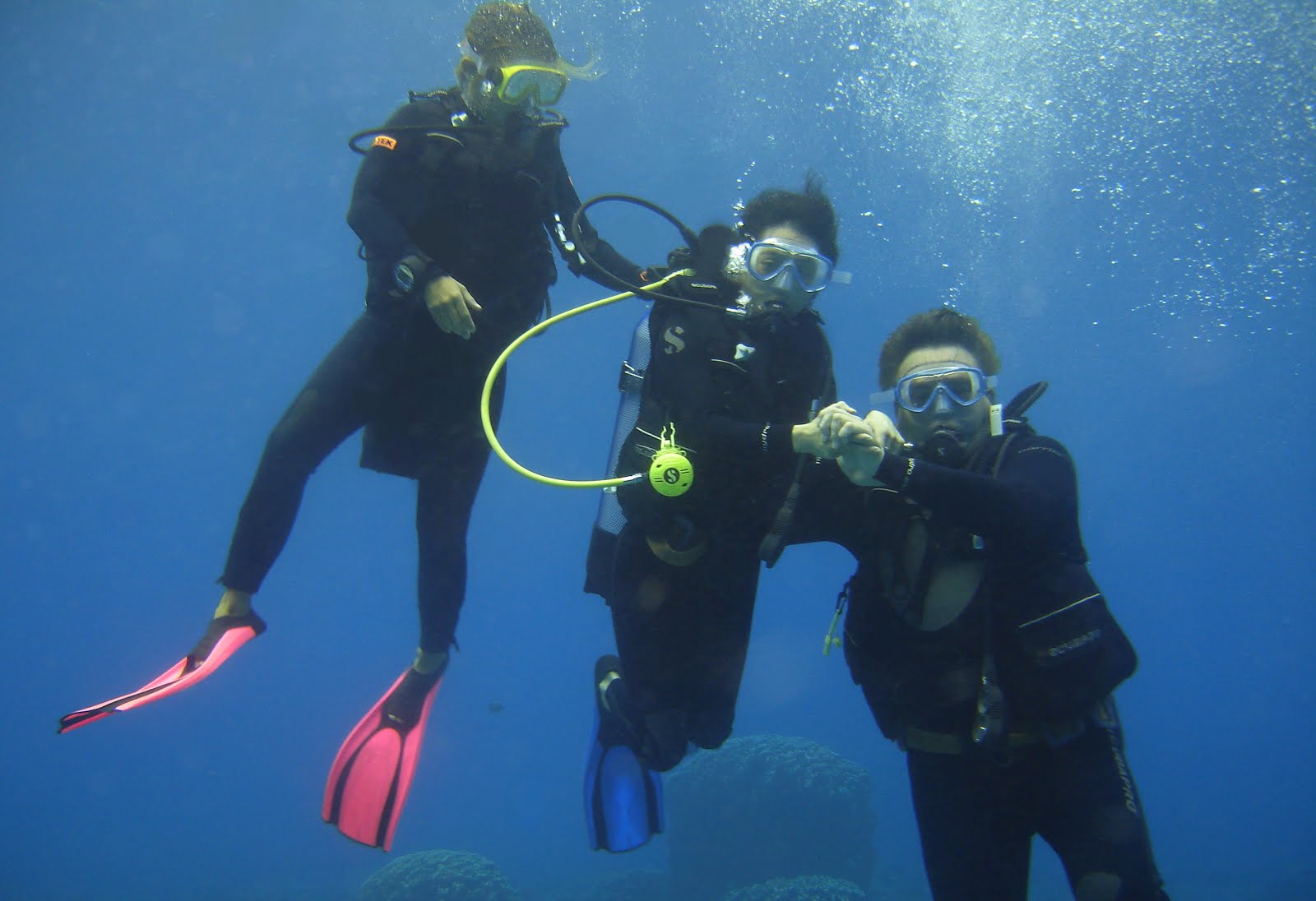 VIAJA Y BUCEA CHILE - CHILE DIVE AND TRAVEL