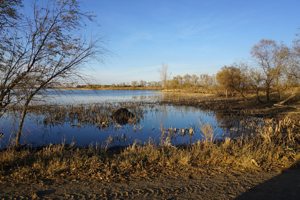 Taken For Granted: Muskrat House