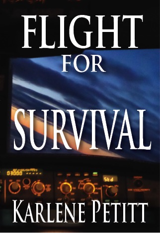 Flight To Success: Aviation Thrillers: