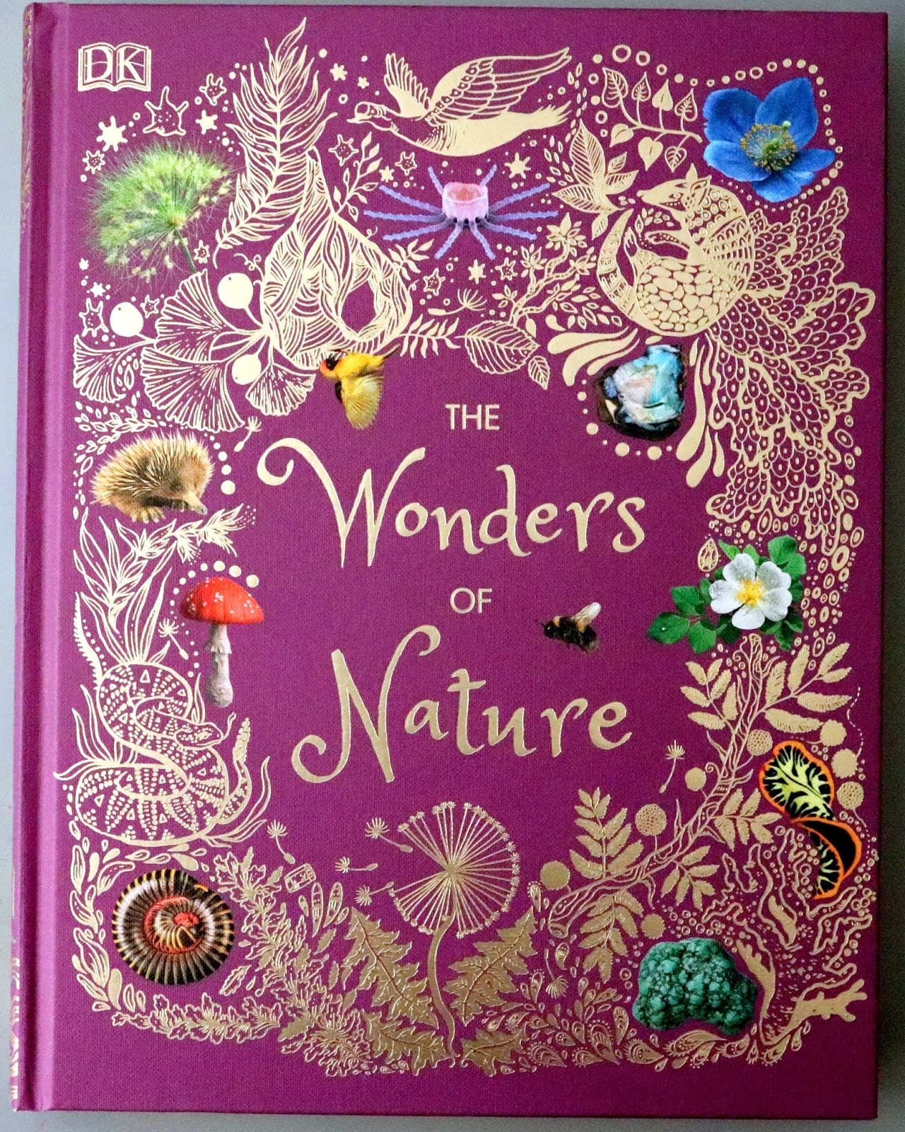 Create With Mom: Learning to appreciate what is around us and Giveaway