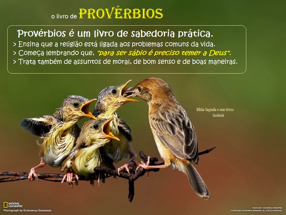Bíblia Sagrada e seus livros: PROVÉRBIOS - o 20° livro do Antigo Testamento