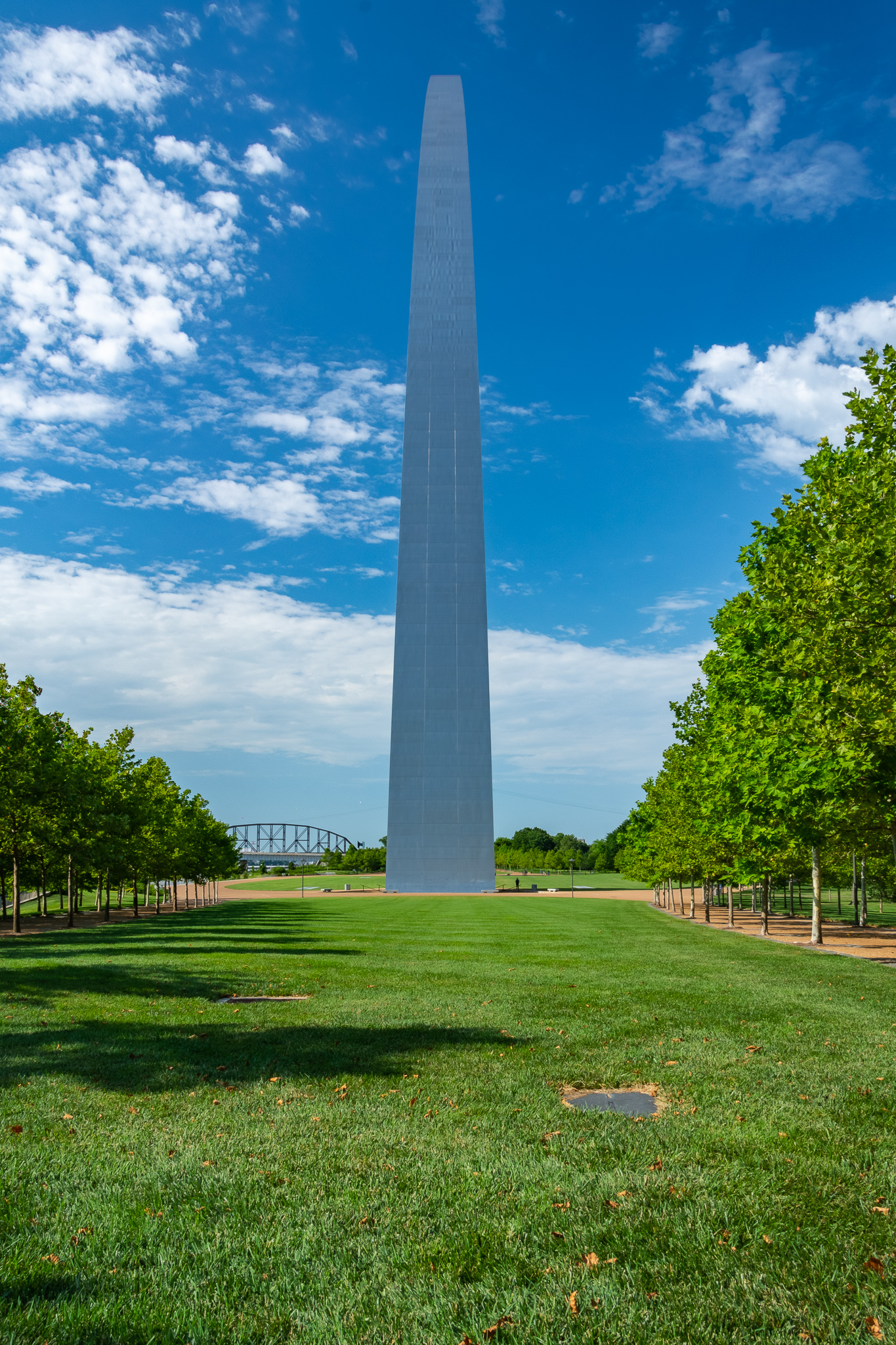 A Tree Falling: Gateway Arch National Park