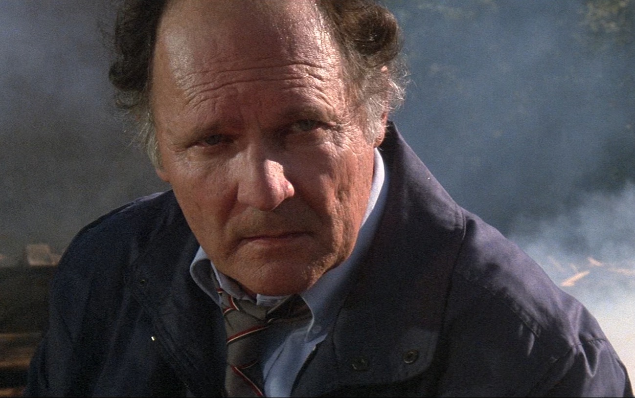 John Vernon Actor