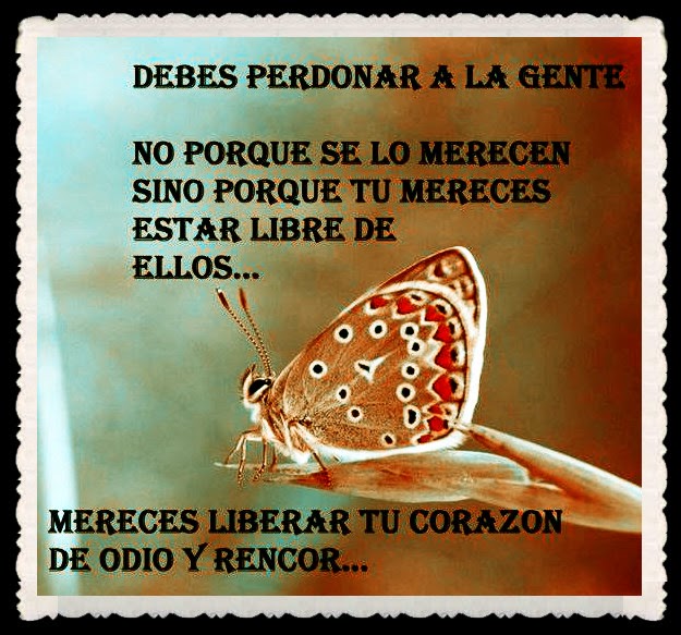 frases para reflexionar: LIBÉRATE DE TODO AQUELLO QUE LLENA TU CORAZÓN ...