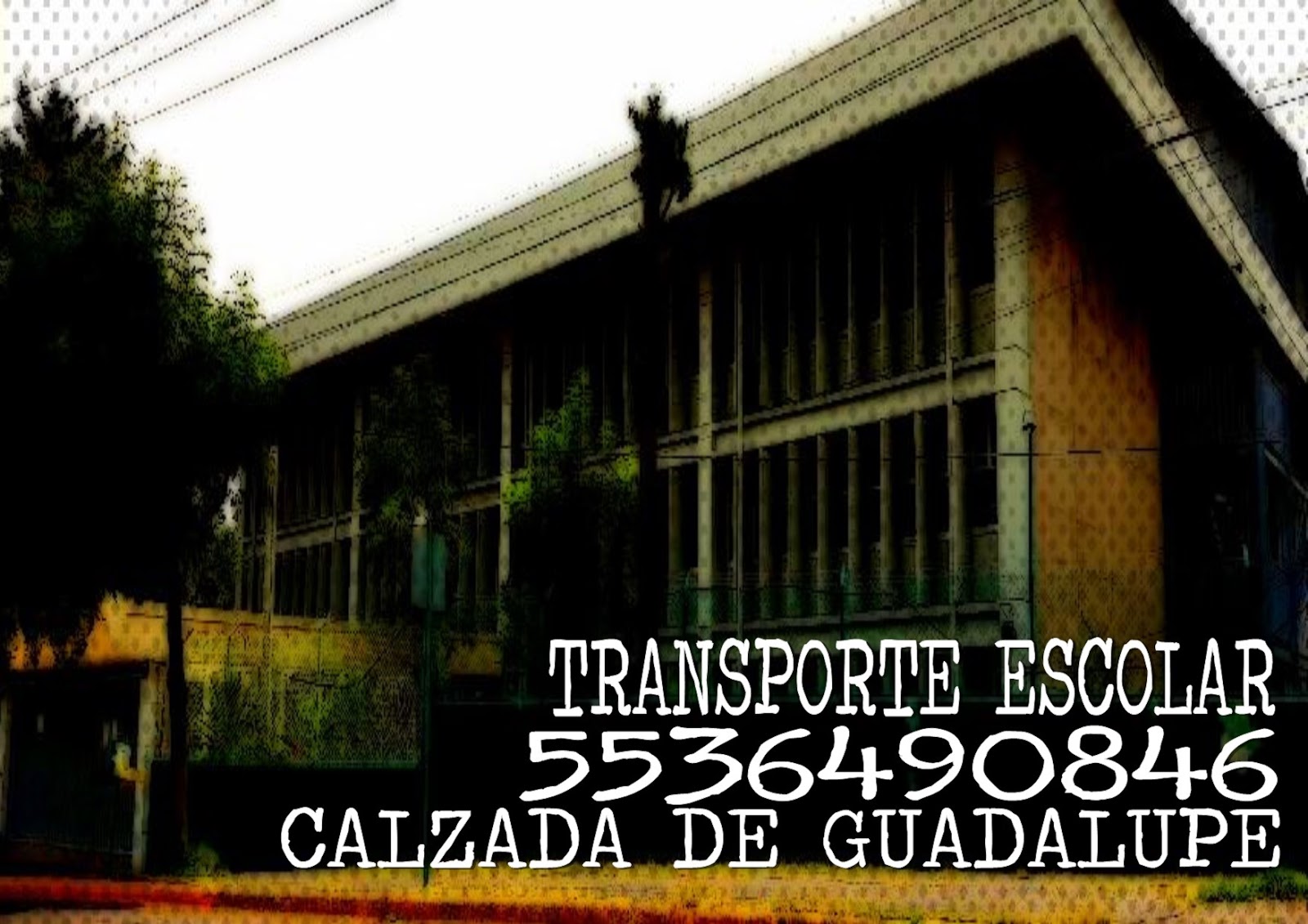 BENEMERITO DE LAS AMERICAS SEC 17 SATELITE