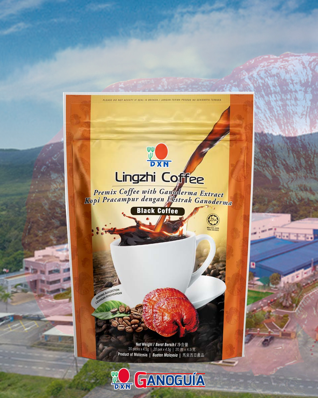 IMPORTANTE - 30 Razones Para Consumir Café Con Ganoderma