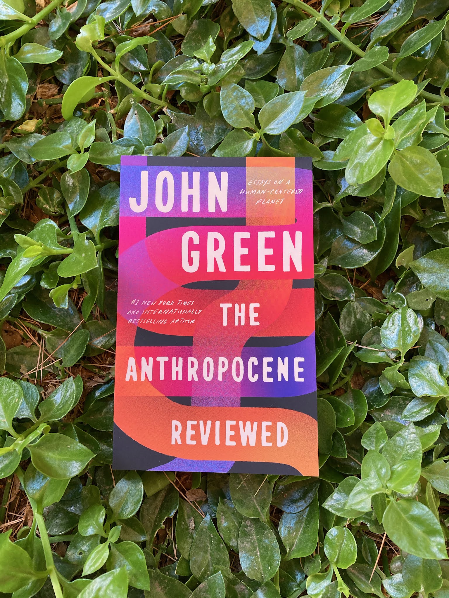 Review: The Anthropocene Reviewed by John Green