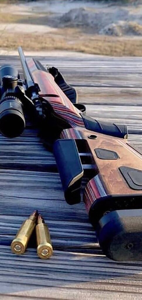 Accuracy International AWM (Arctic Warfare Magnum/AI-Arctic Warfare ...