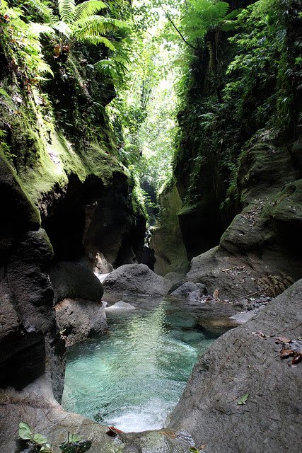 Jesus Garcia: Exploring the scenic Titou Gorge in Dominica