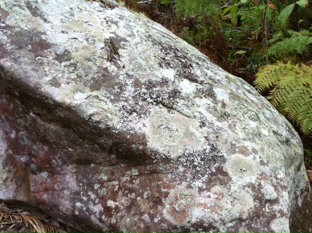 OLLMANN DESIGN: Nada Herman - Artist