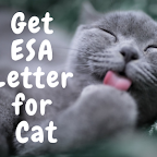 Emotional Support Animal California Laws you Should Know.