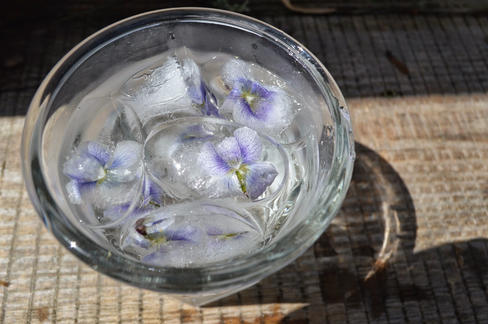 The Wright Family Farm: Wild Edibles // Violet Ice Cubes
