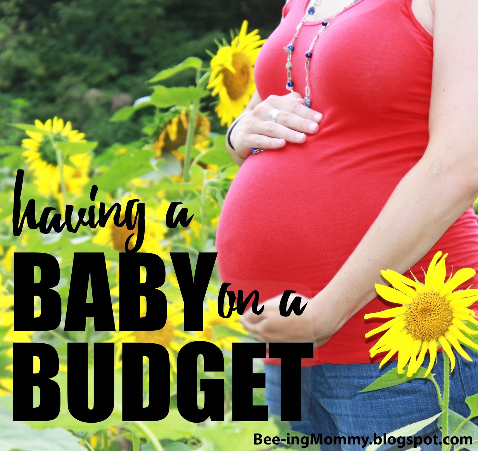 Baby On A Budget Saving Money Before After Baby baby-on-a-budget-saving-money-before-after-baby