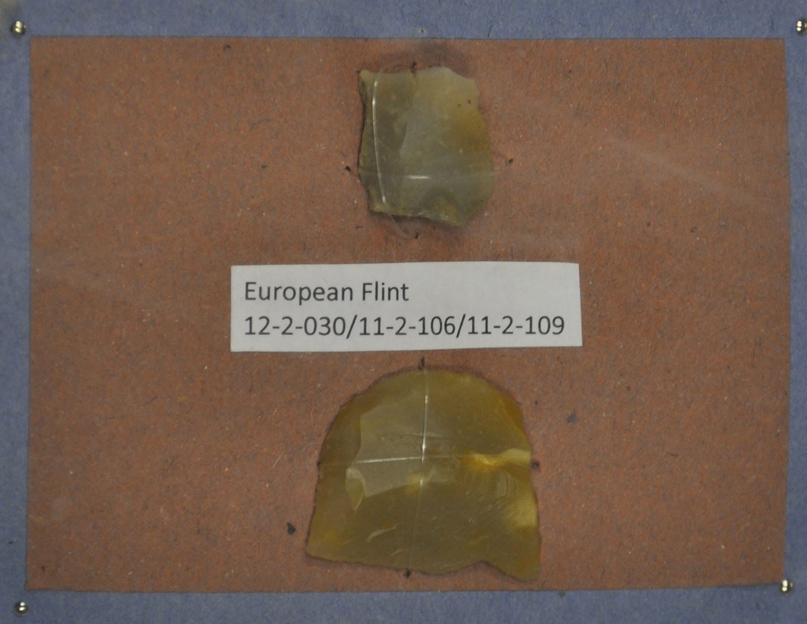 Fort St. Joseph Archaeological Project: Head and Shoulders Can't Stop ...