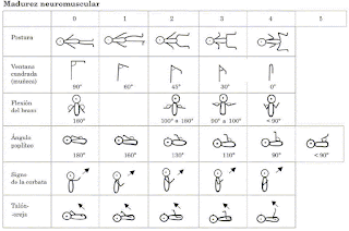 SEMINARIO INTERDISCIPLINARIO GRUPO 2016-2: Crecimiento y Desarrollo del ...