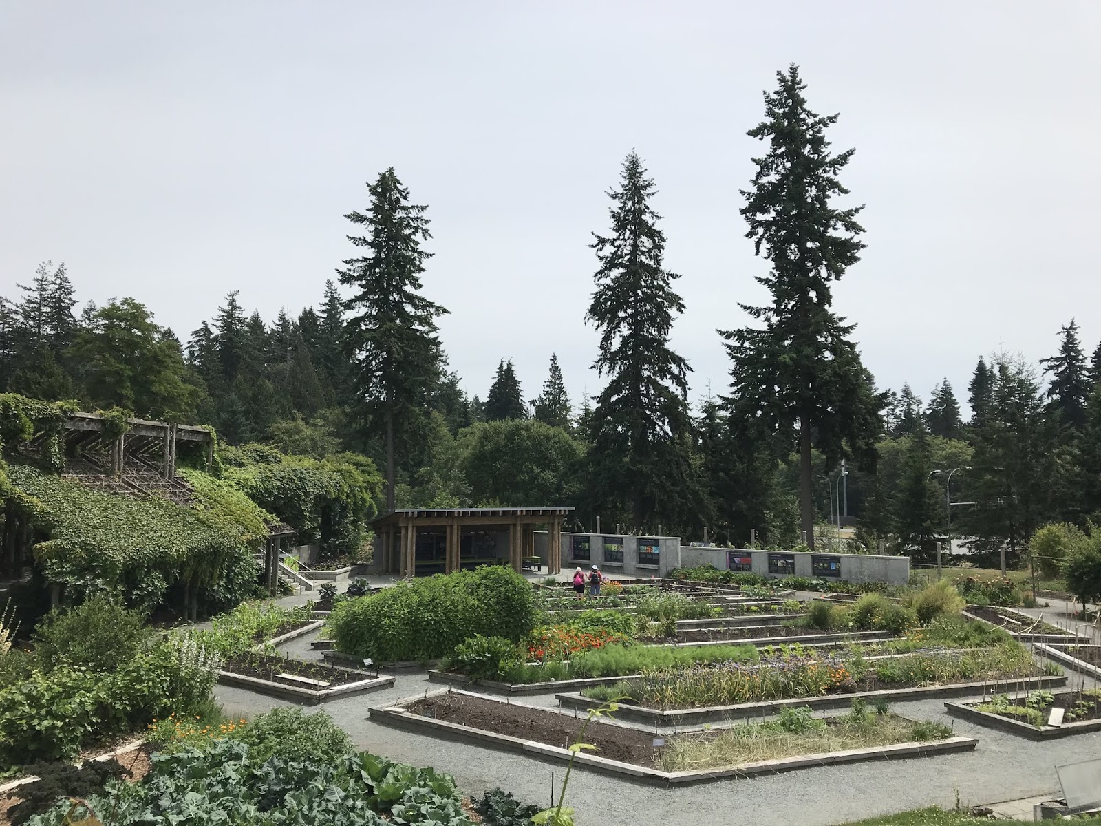 Tree Walk at UBC Botanical Garden - Vancouver - chichicho~