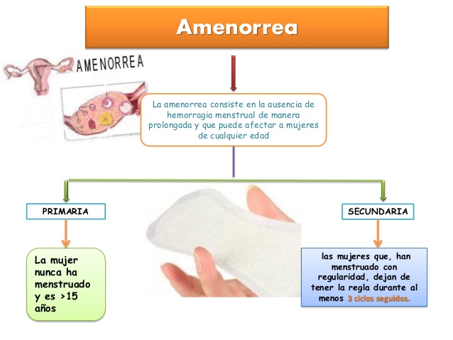 MEDICINA : Amenorrea: Generalidades