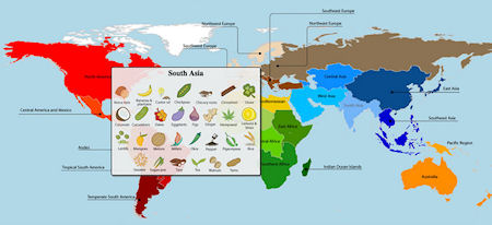 The Presurfer: A Map Of Where Your Food Originated May Surprise You