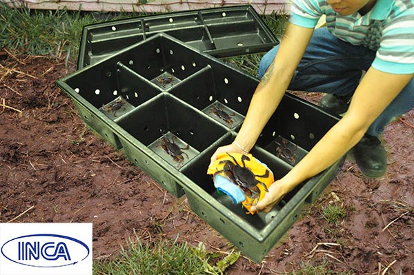 INCA® PLASTIC CRAB CAGE | Inca Philippines