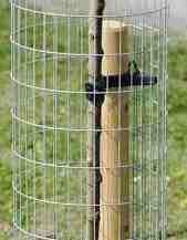 Different types of tree guards./Classification of tree guards. ~ PARAM ...