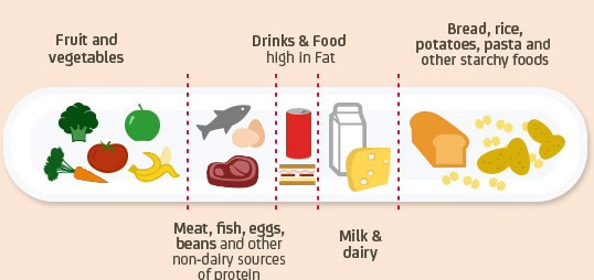 Balanced Diet Chart ~ Nutrition guide | Diet Plan | Diet Review