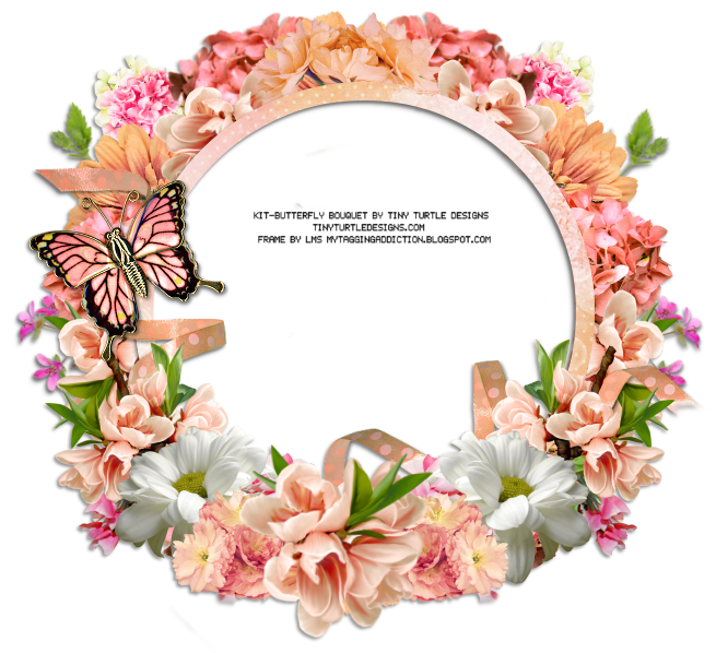 MyTaggingAddiction: Cluster frames