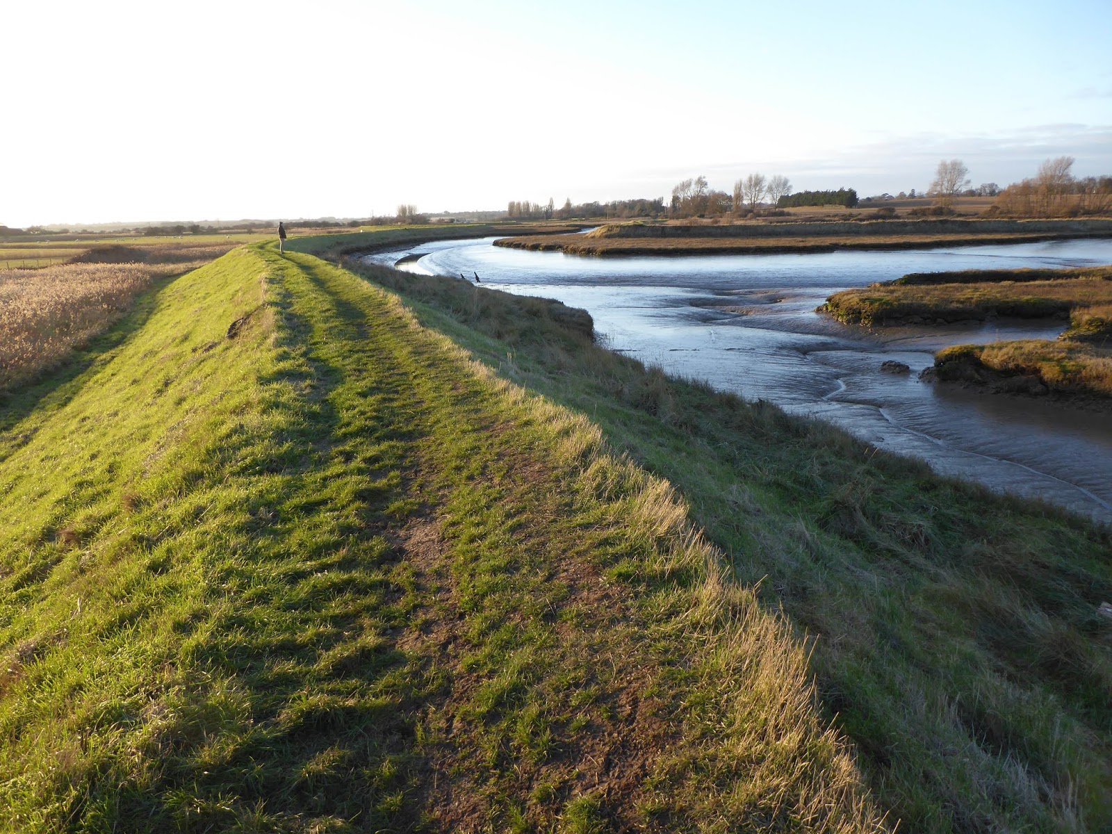 Wild and Wonderful: Shingle Street, a Wild Stretch of Suffolk Coast