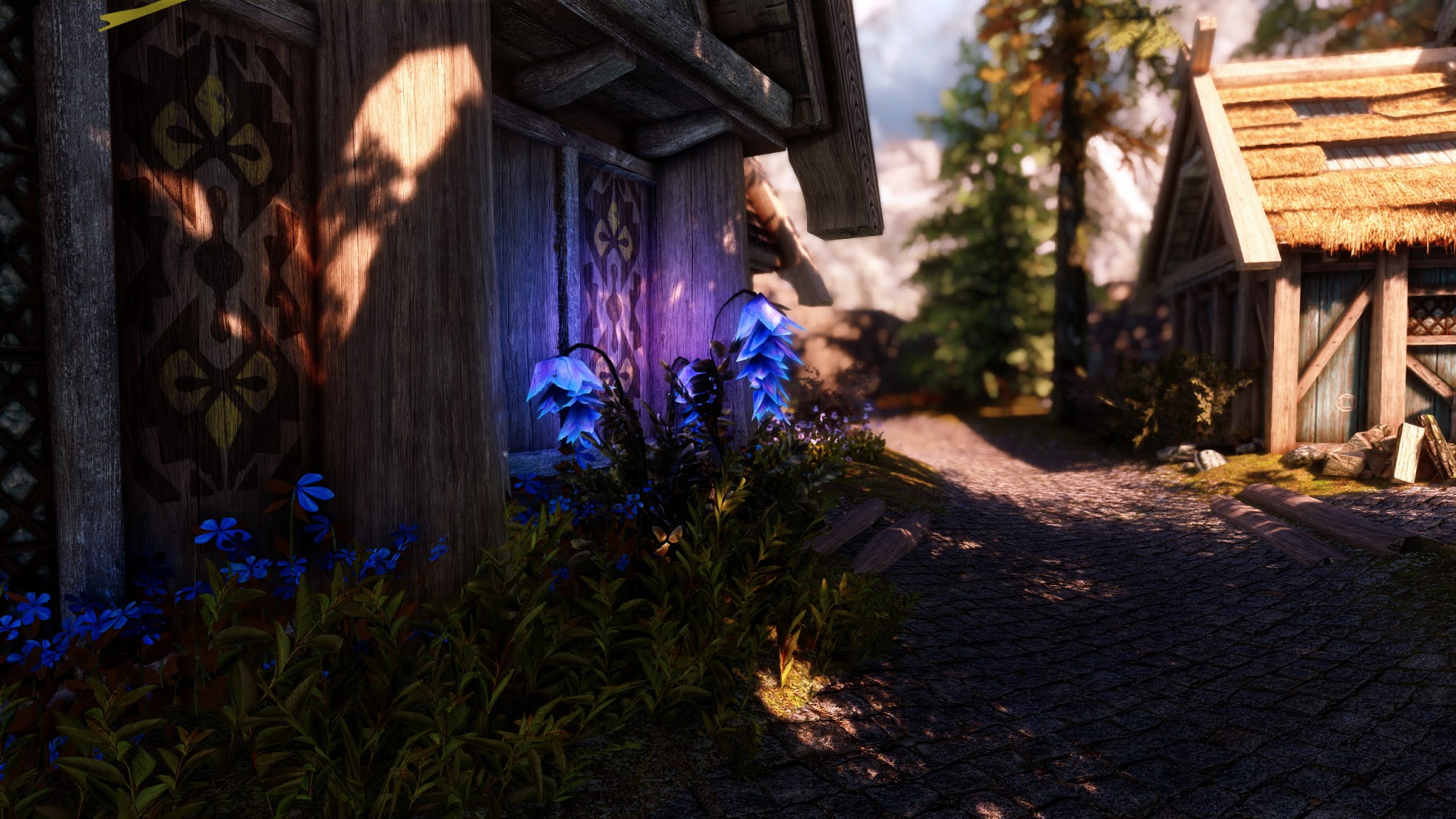 SKYRIM BEAUTIFICATION PROJECT