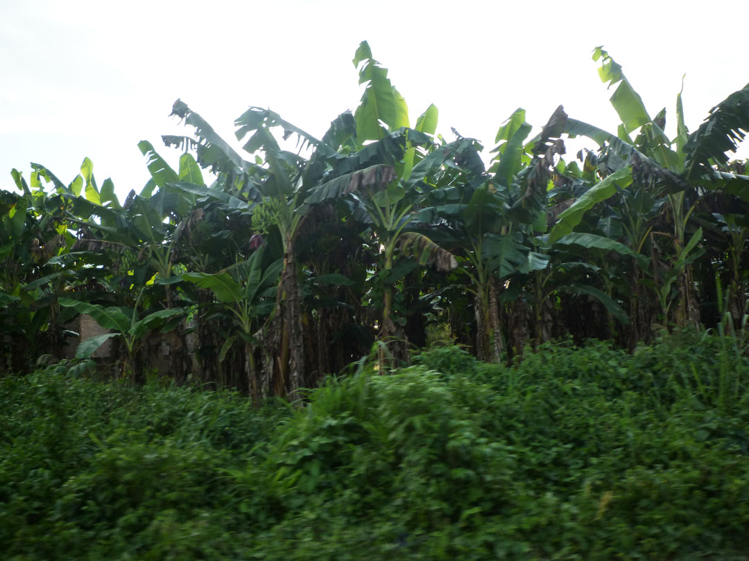 Ceramics and Art in Ghana: Kpando