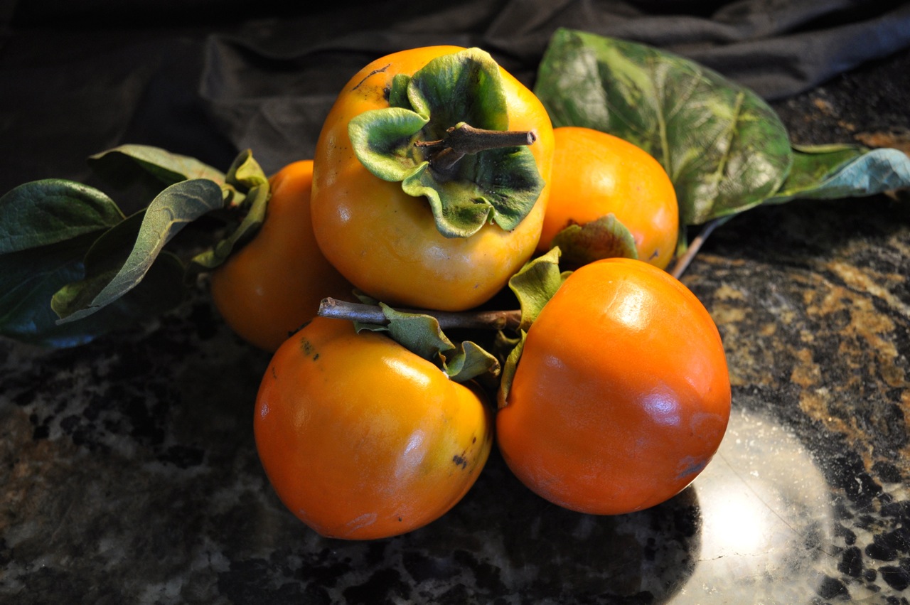 Maui Jungalow: End of Persimmon Season