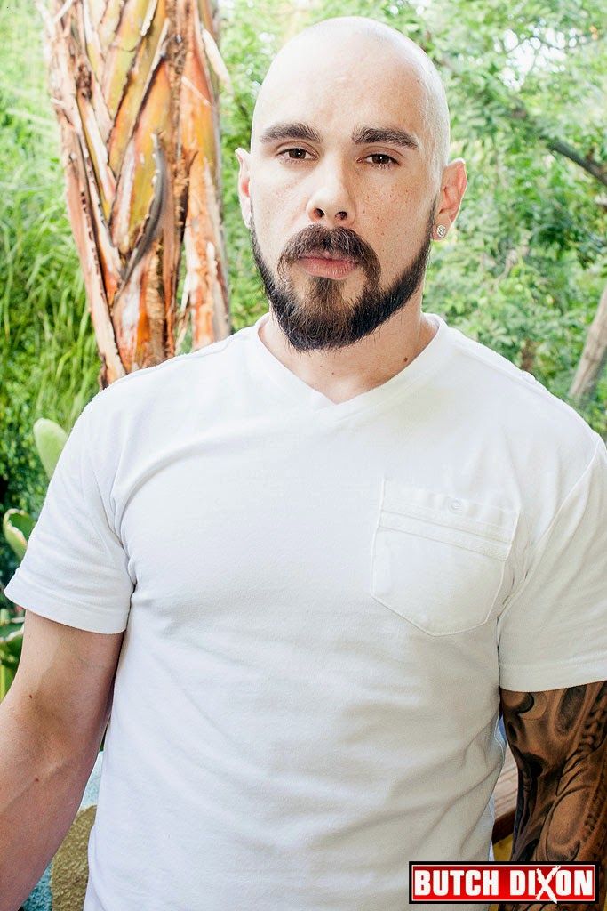 COLEÇAO VARIOS ATORES: RYAN WAYNE