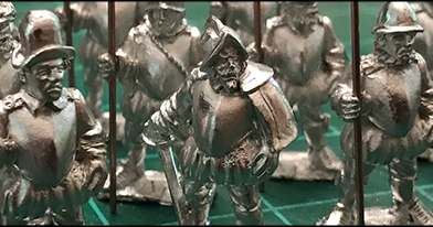 I Live with Cats: The Irish project (An Tionscadal na hÉireann)