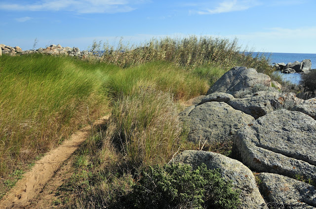 Jo - Photographe: Les Îles LAVEZZI et CAVALLO