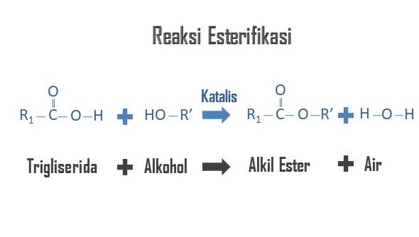 Perbedaan Esterifikasi dan Transesterifikasi dalam produksi biodiesel