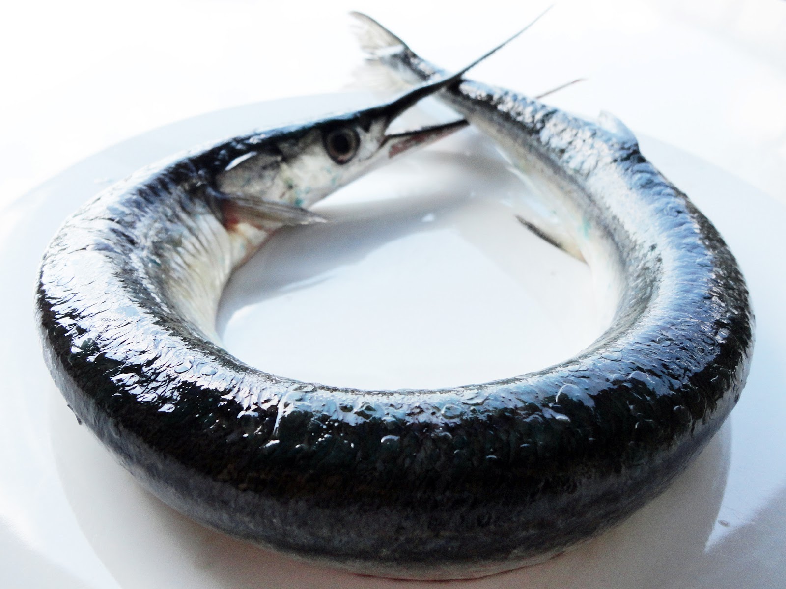 DE GOEDKOPE SMAAK: GEEP