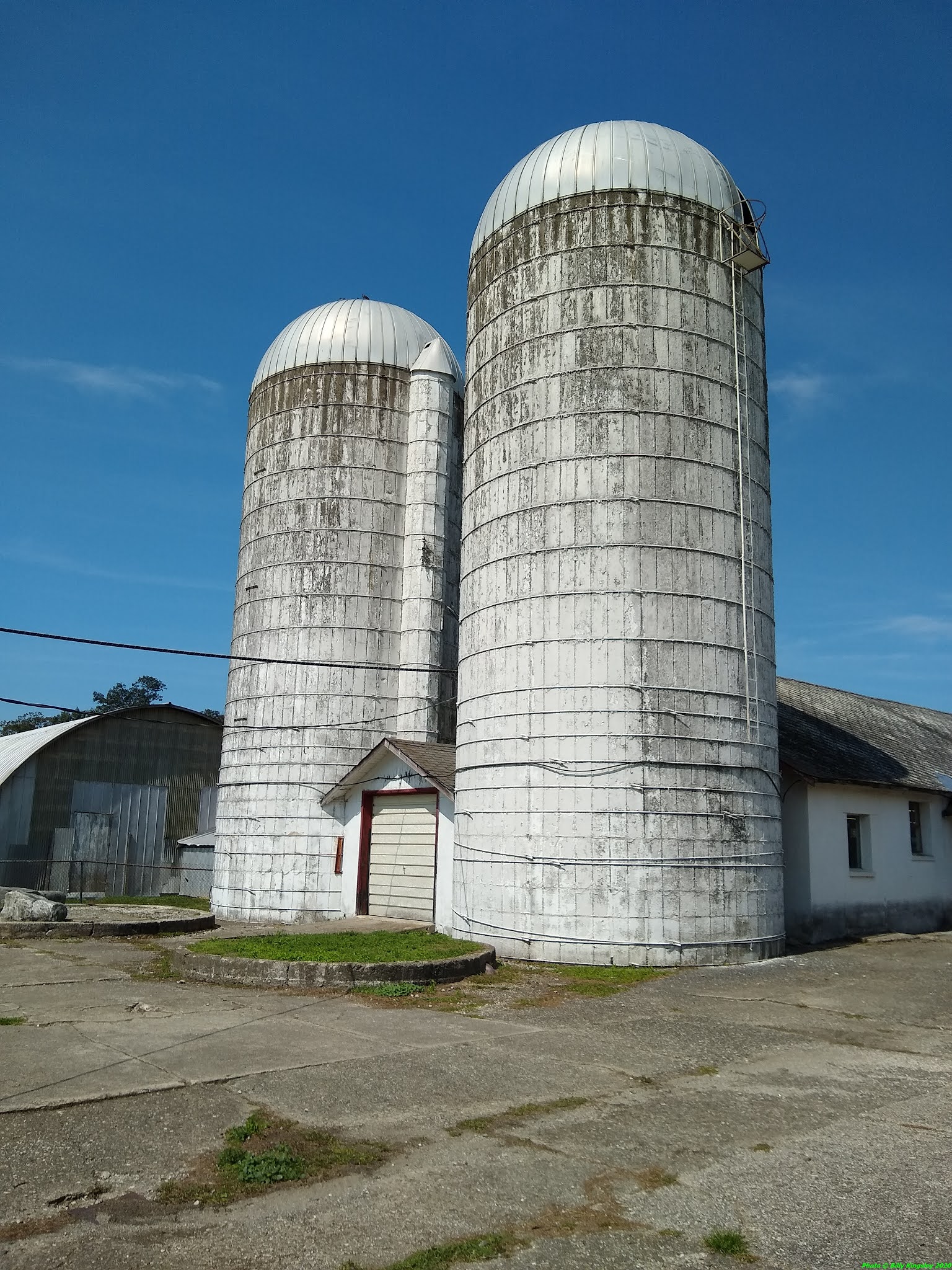 Cardboard History : Space Farms Zoo & Museum