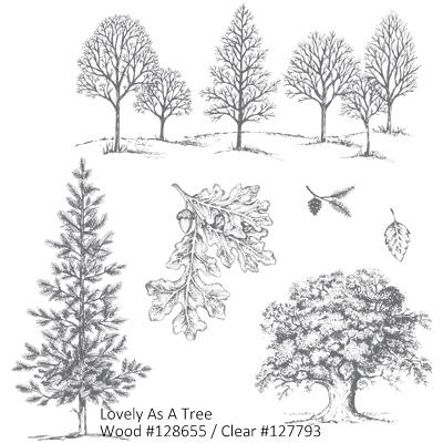 Personally Yours: Color Block Lovely As A Tree