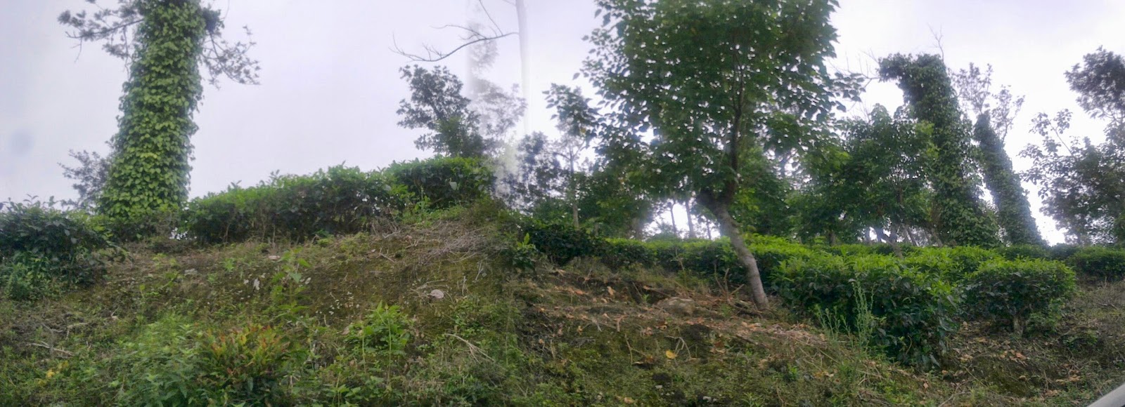 Srinivazen: Manimuthar falls, Kakachi, Manimuthar dam, Kuthiravetti tour