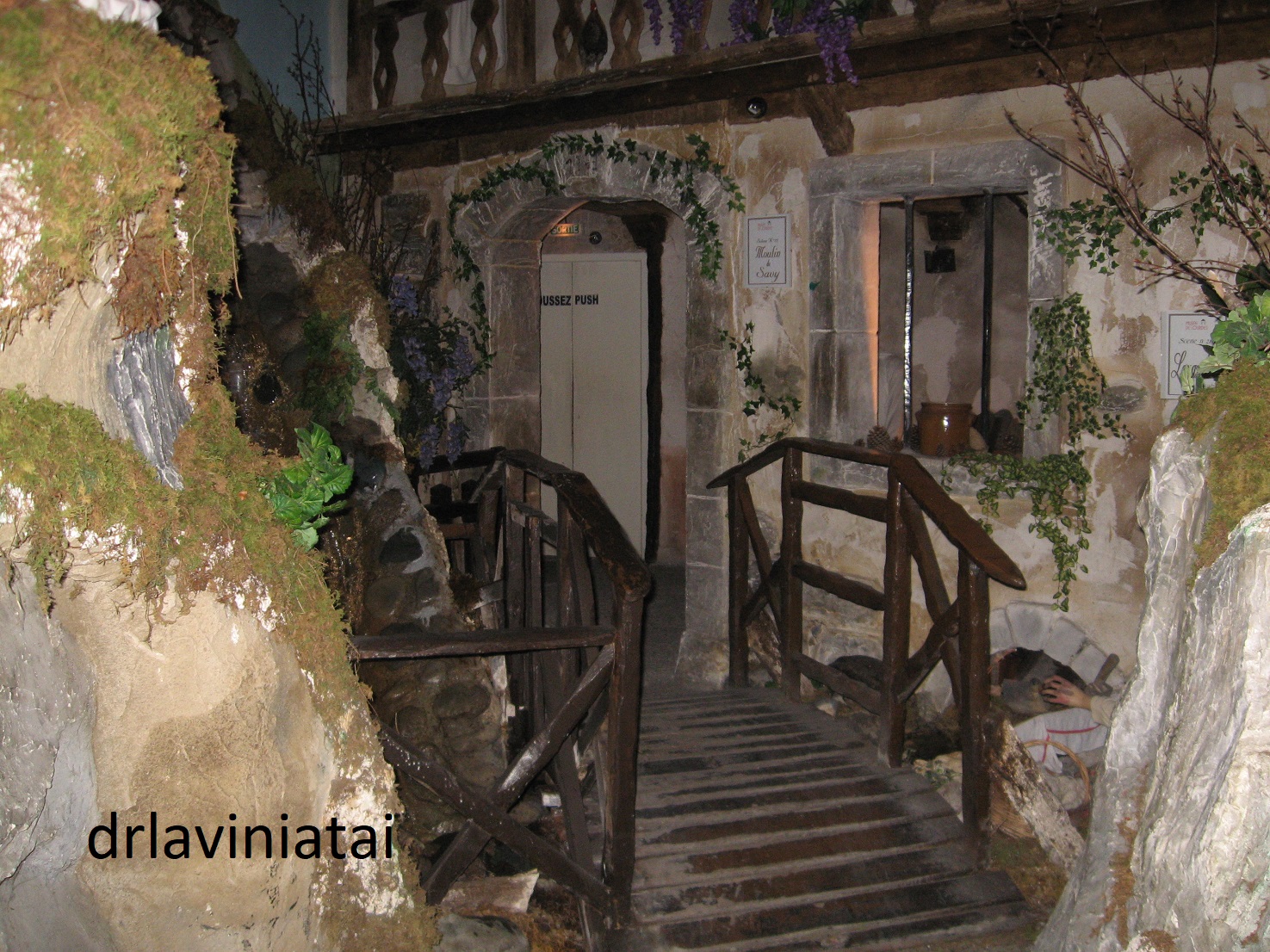 The Meaning and Purpose of Life: THE MUSEUM OF LOURDES