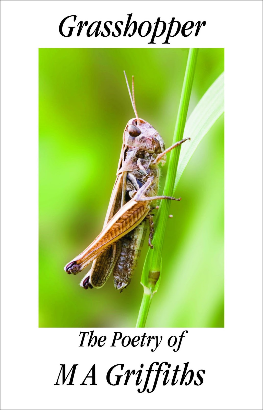 Commercial Poetry: Grasshopper