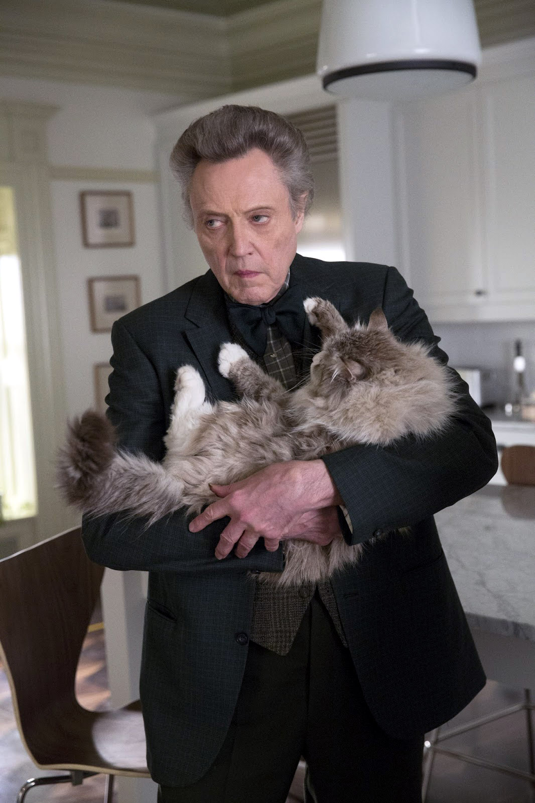 The Glass Character: Christopher Walken with cats