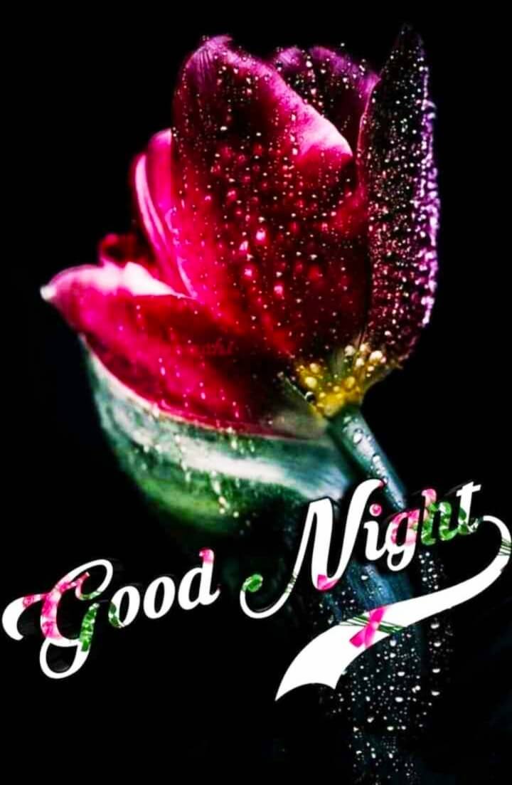 Good Night Pics For Facebook || Good Night Images - Mixing Images