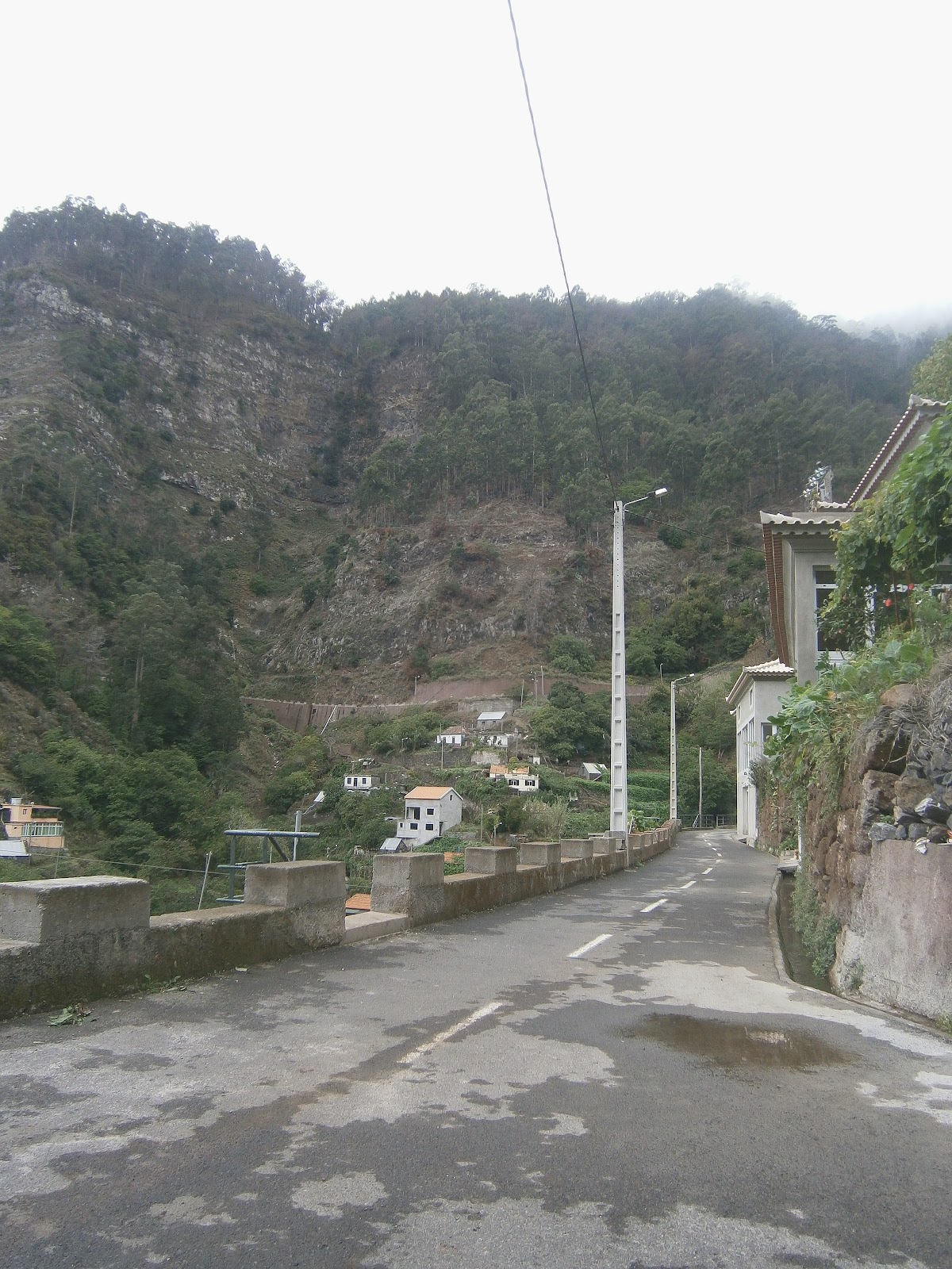 fotográfico: FURNA - RIBEIRA BRAVA (Madeira)