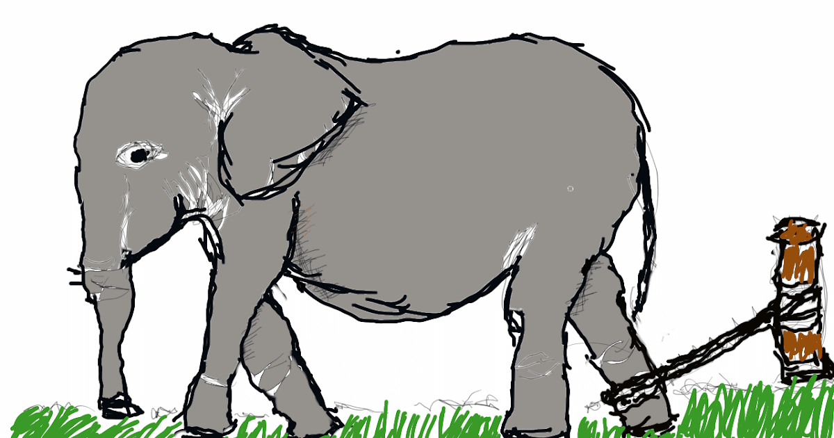 Elephant Rope ~ ∞Inspired