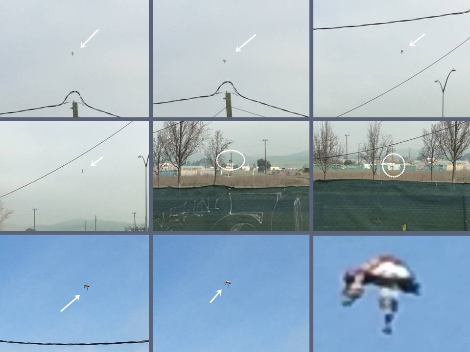 Strange Humanoid-Like Figure Spotted In The Sky Over Dublin, California ...